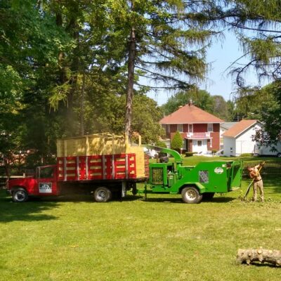 Home - Miller's Tree Service
