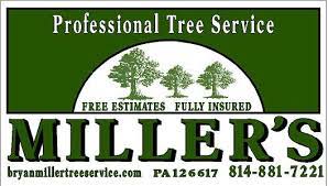 Home - Miller's Tree Service